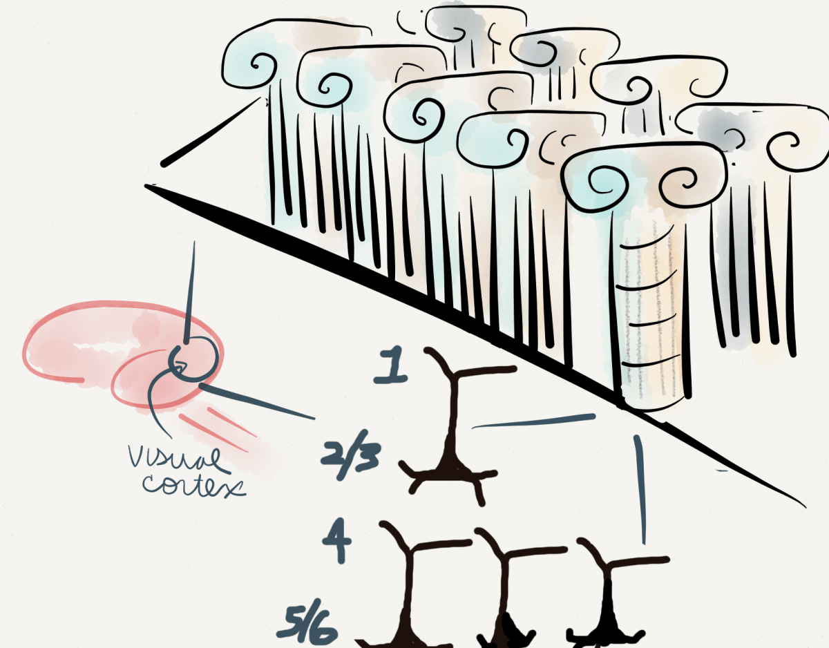 Cortical Columns | NeuWrite San Diego