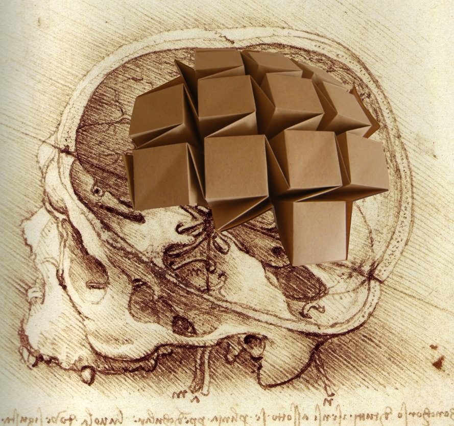 Brain origami | NeuWrite San Diego