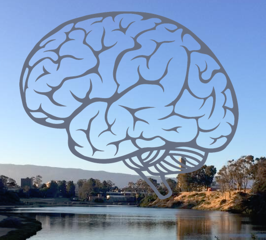 How I Spent My Summer Vacation | NeuWrite San Diego