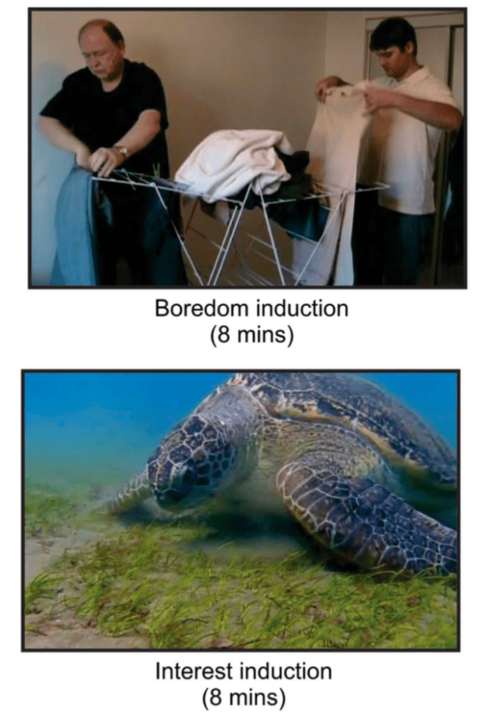 Boredom and the Brain | NeuWrite San Diego