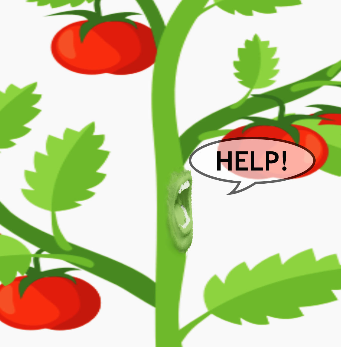 Screaming into the void: What plants are trying to tell us | NeuWrite ...